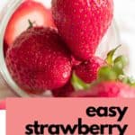 Purees 101 - Strawberry Puree - Simple Gray T-Shirt