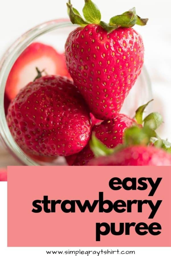 Purees 101 - Strawberry Puree • Simple Gray T-Shirt