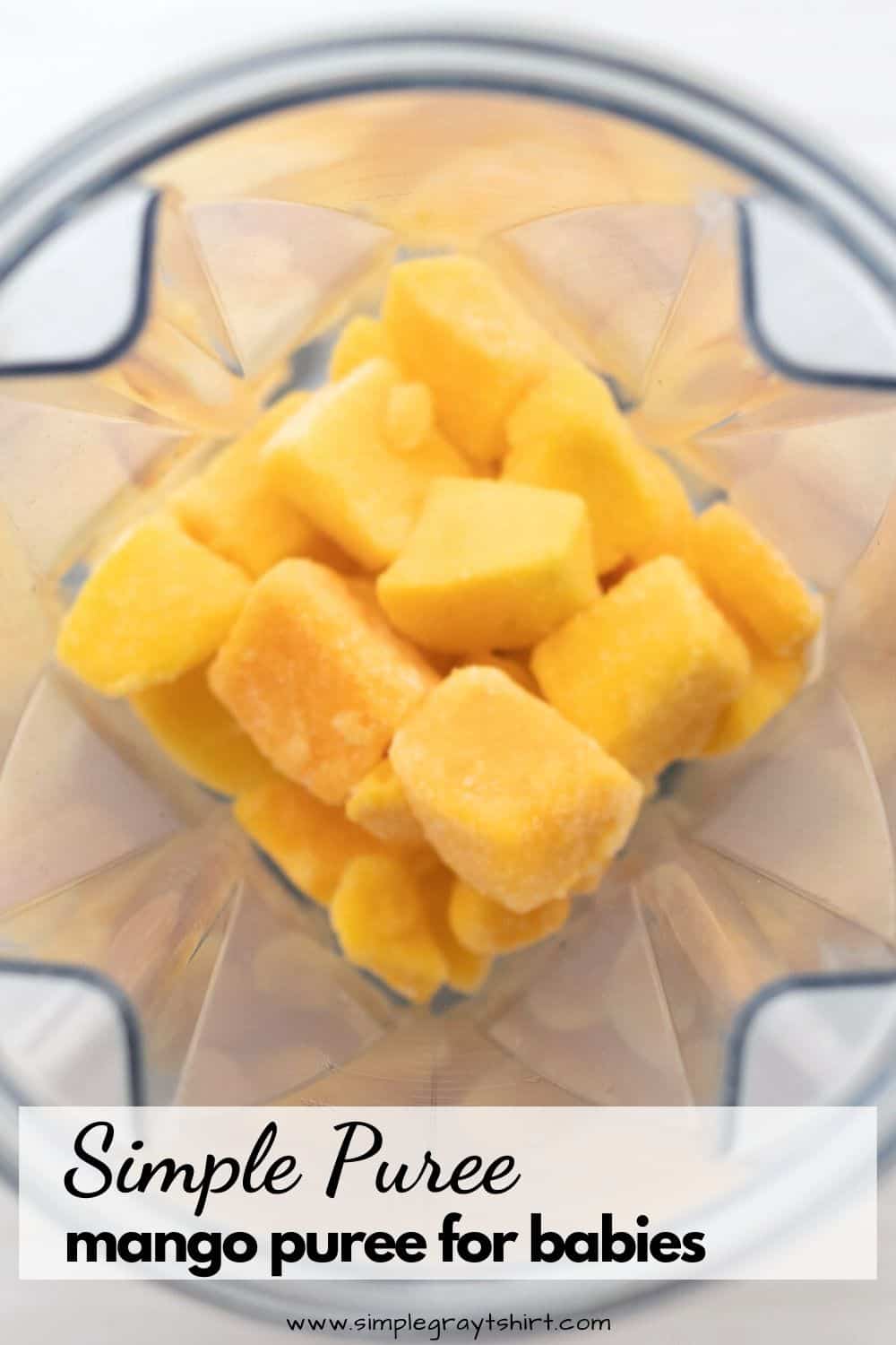 Frozen Mango Puree for Babies • Simple Gray T-Shirt