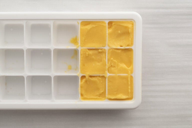 Frozen Mango Puree for Babies • Simple Gray T-Shirt