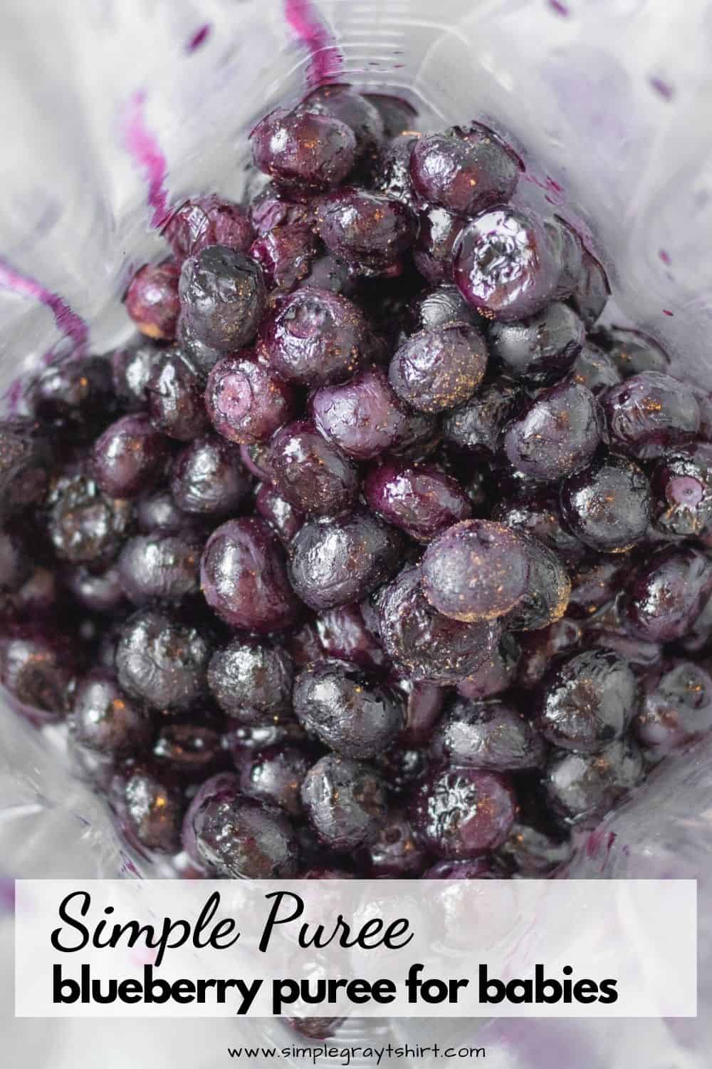 Blueberry Puree (For Babies and Beyond) • Simple Gray T-Shirt